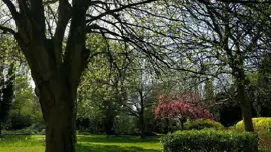 No to building on Staines Park - Spelthorne Liberal Democrats