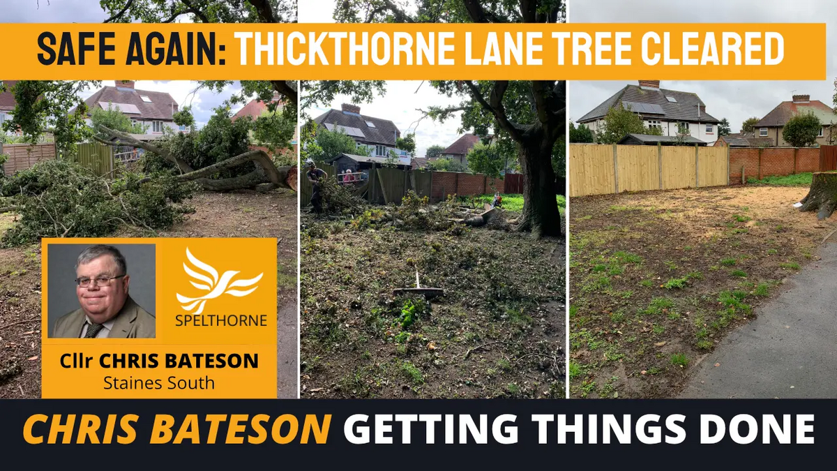 Swift Lib Dem action removes a dangerous tree problem in Staines ...